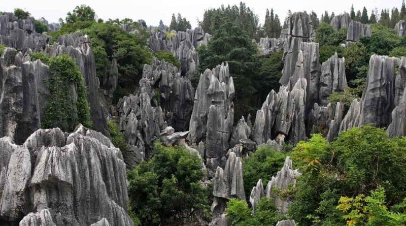 Shilin Stone Forest - Kunming Yunnan China - Naigu Black Forest